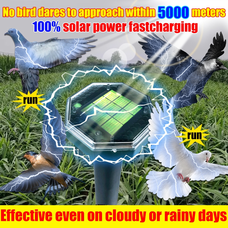 No bird dares to approach within 5000 meters bird repellent outdoor 100 ...