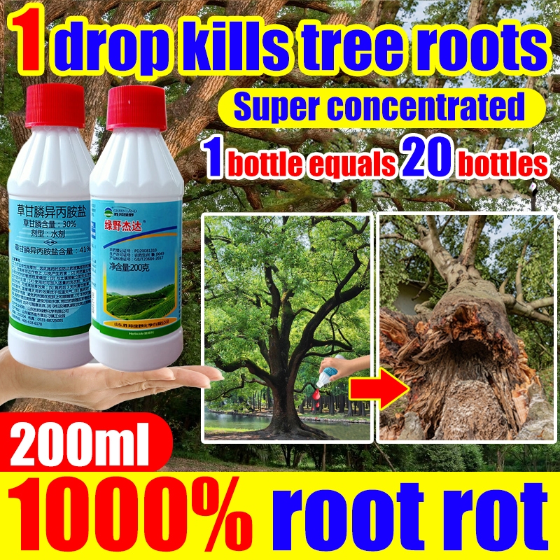 1 setitik akar busuk racun pokok besar Formula pekat racun pokok kayu ...
