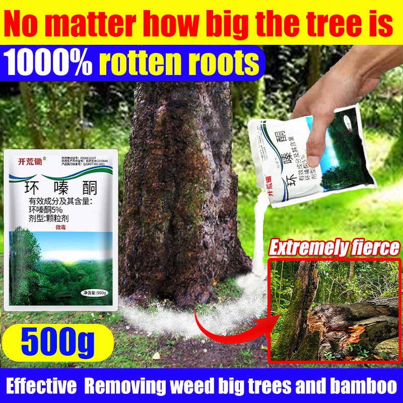 The roots rotted in 1 day!racun pokok besar paling kuat cepat mati tree ...