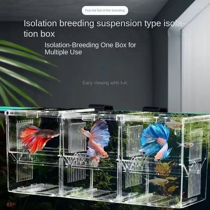 Fish Tank Isolation Box Breeding Box Fry Incubation Box Female Fish Isolation Box Female Fish ...