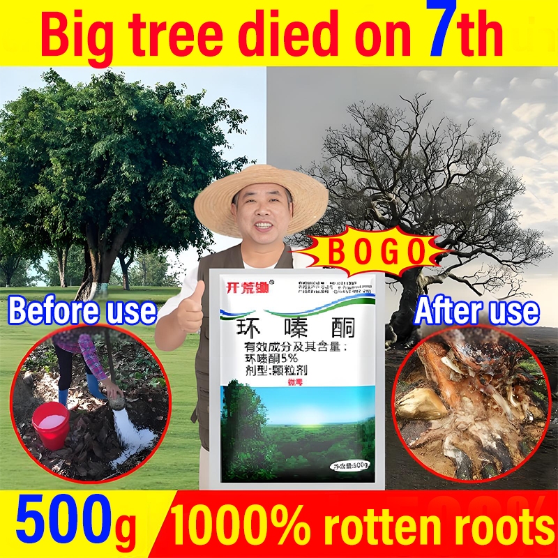 Rotting roots 5 meters deep overnight Racun pokok kayu besar 500g ...