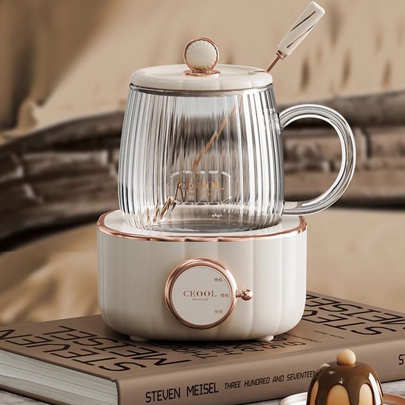CEOOL Electric Hot Water Cup 600ml Capacity Glass Material Thermal ...