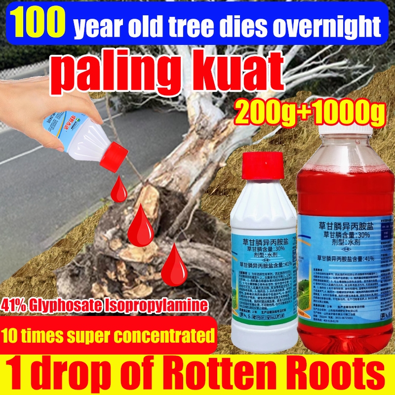 1drop causes root rot Tree killer 1000g Racun pokok paling kuat Racun ...