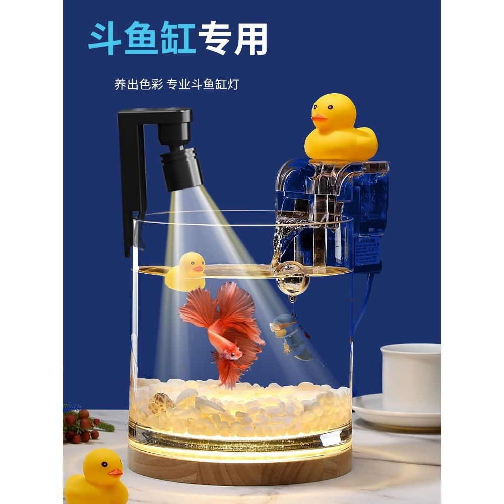 Mini Fish Tank Light, Betta Fish Tank Guppy Small Clip Light, Water ...