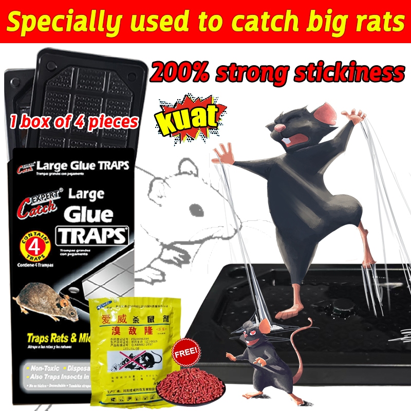 Specially used to catch big rats》 Supe Sticky Rat & Mouse Trap glue rat ...
