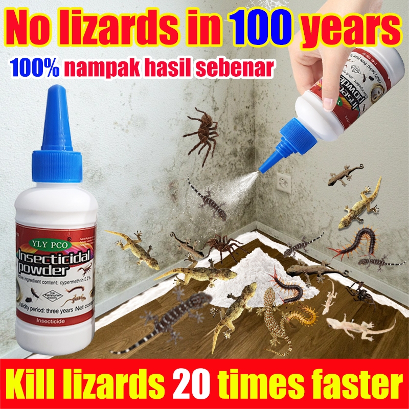 100% effective in killing lizards and geckos！ Lizard killer lizard ...