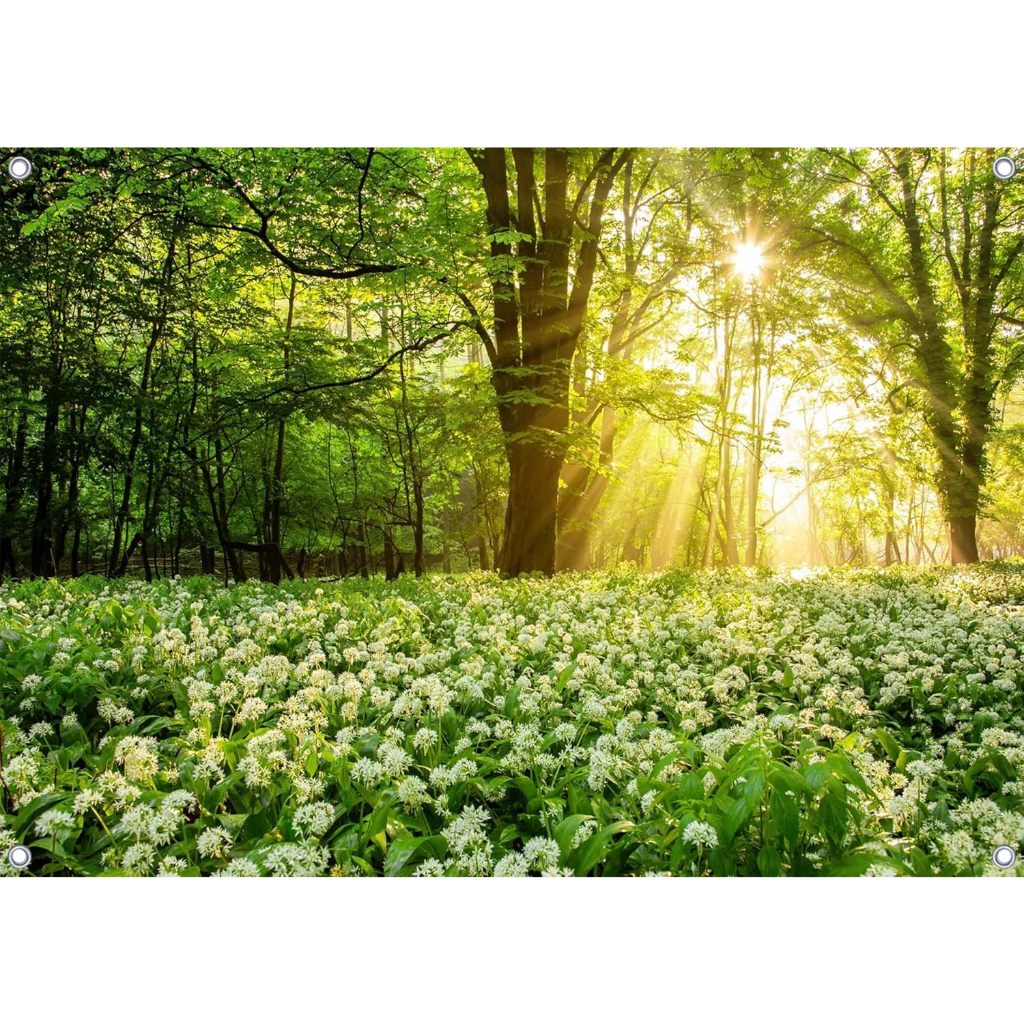 7x5ft Sunlit Forest Backdrops Banner Serene Woodland Scenery ...