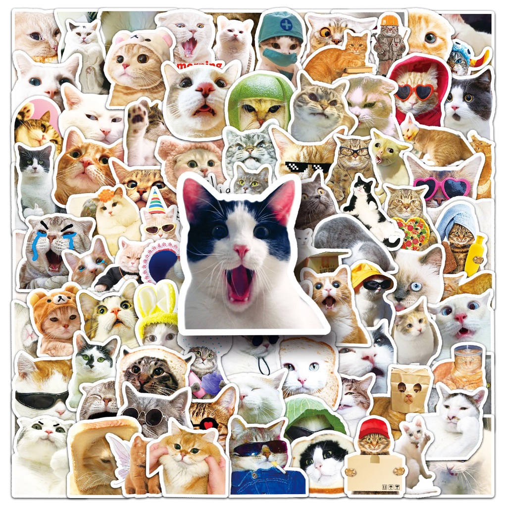 50/100/200 Piece Funny Cats Meme DIY Creative Waterproof Stickers For ...