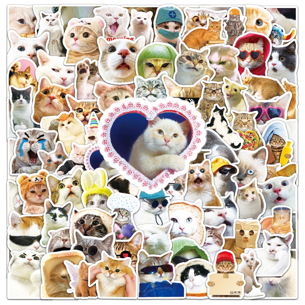 10/100Piece Funny Cat Meme DIY Creative Waterproof Stickers For Phone ...
