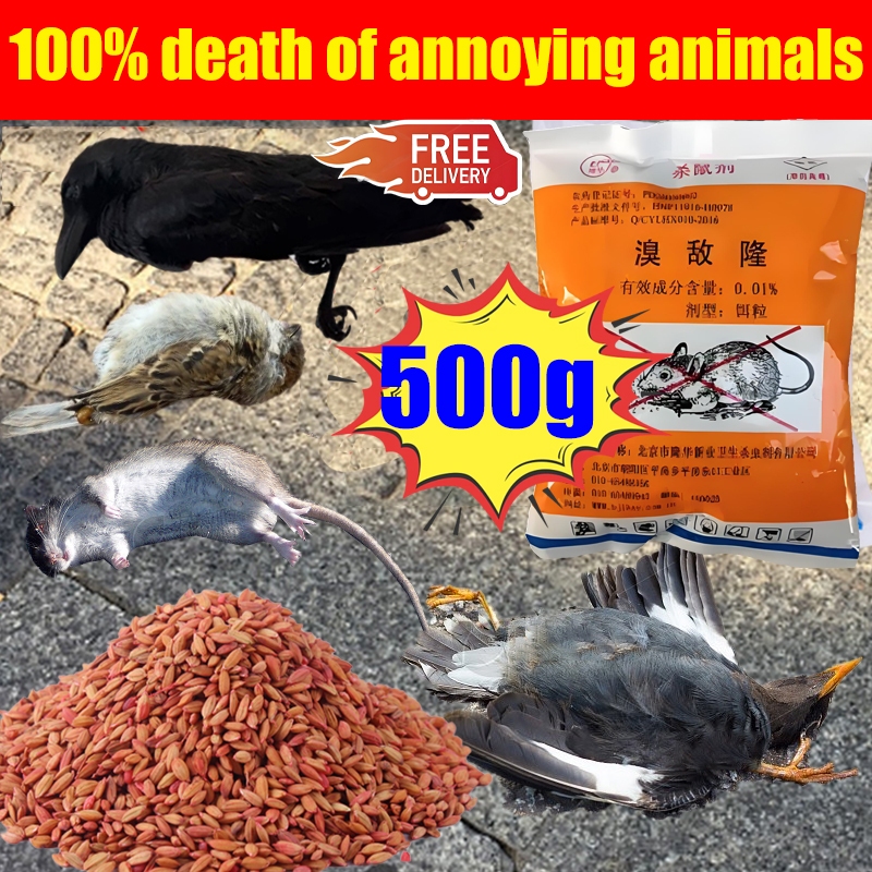 100% death of annoying animals racun burung bird killer 500g Bird ...