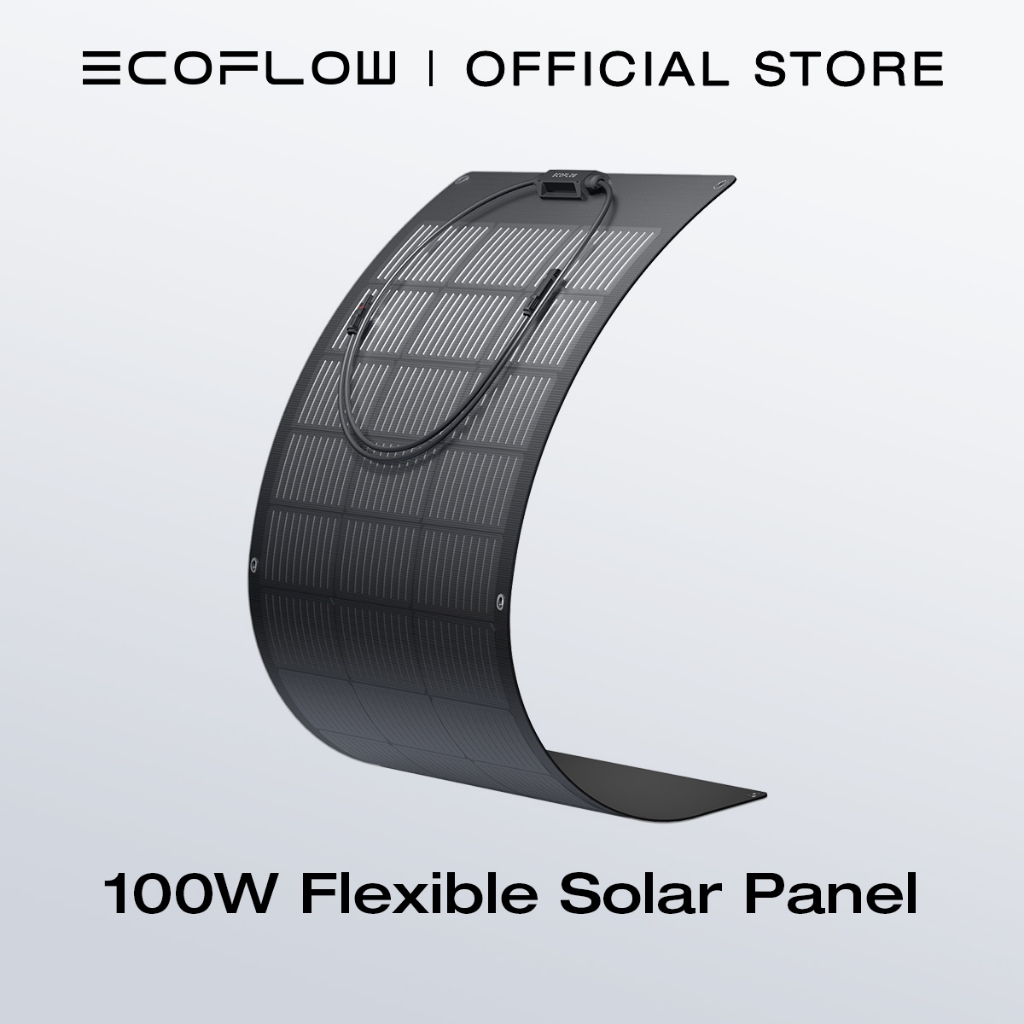 EcoFlow 100W Flexible Solar Panel, High-Efficiency Modules, IP68 ...