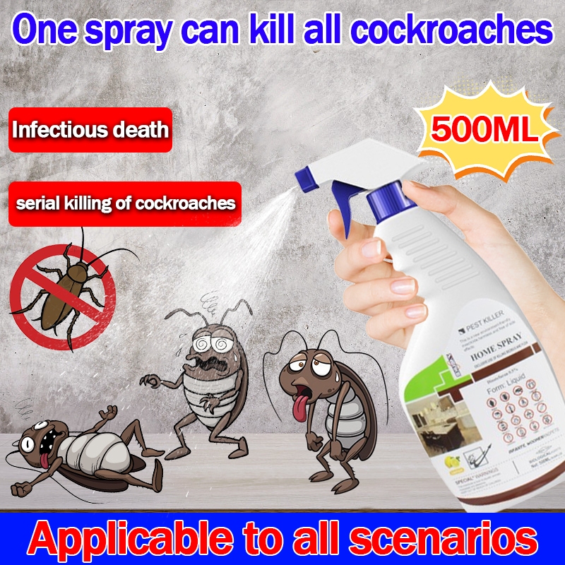【Kill all cockroaches overnight】CC Cockroach killer Spray lipas 500ML ...