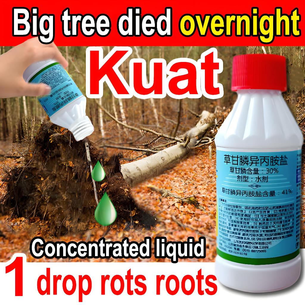 【Malay Spot】Tree killer 200ml Racun pokok besar Racun pokok kayu besar ...