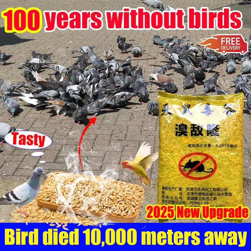 100 years without birds racun burung bird killer 500g Bird repellent ...