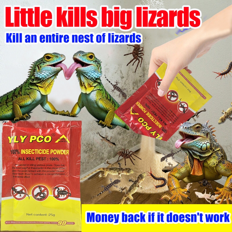 Kill a nest of geckos in 1 second Lizard killer bait 100g 100% ...