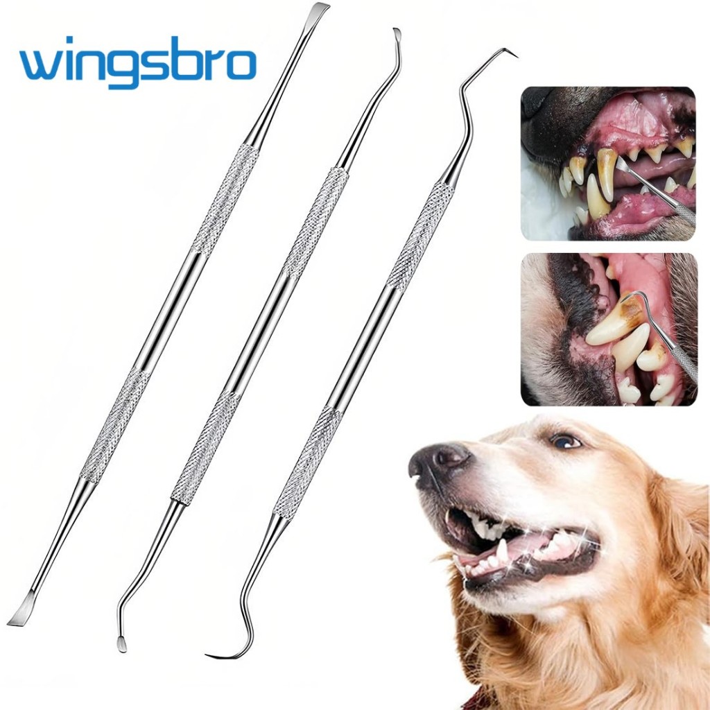 wingsbro Dog Teeth Cleaning Kit, Dog Dental Tooth Scaler and Scraper ...