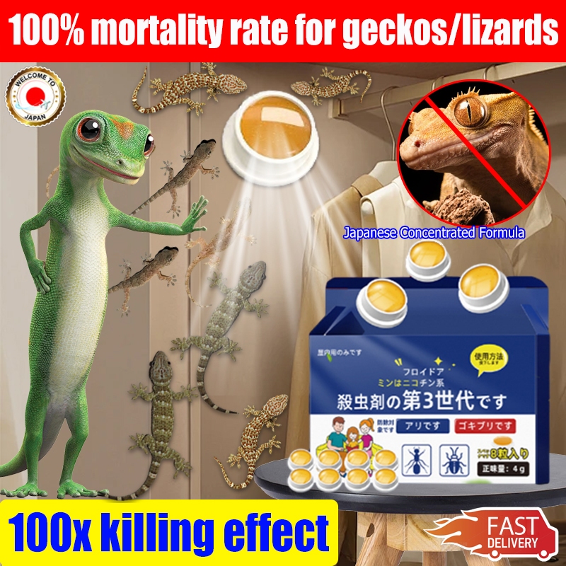 100x killing effect lizard killer bait cicak killer 8pcs/box Can kill ...