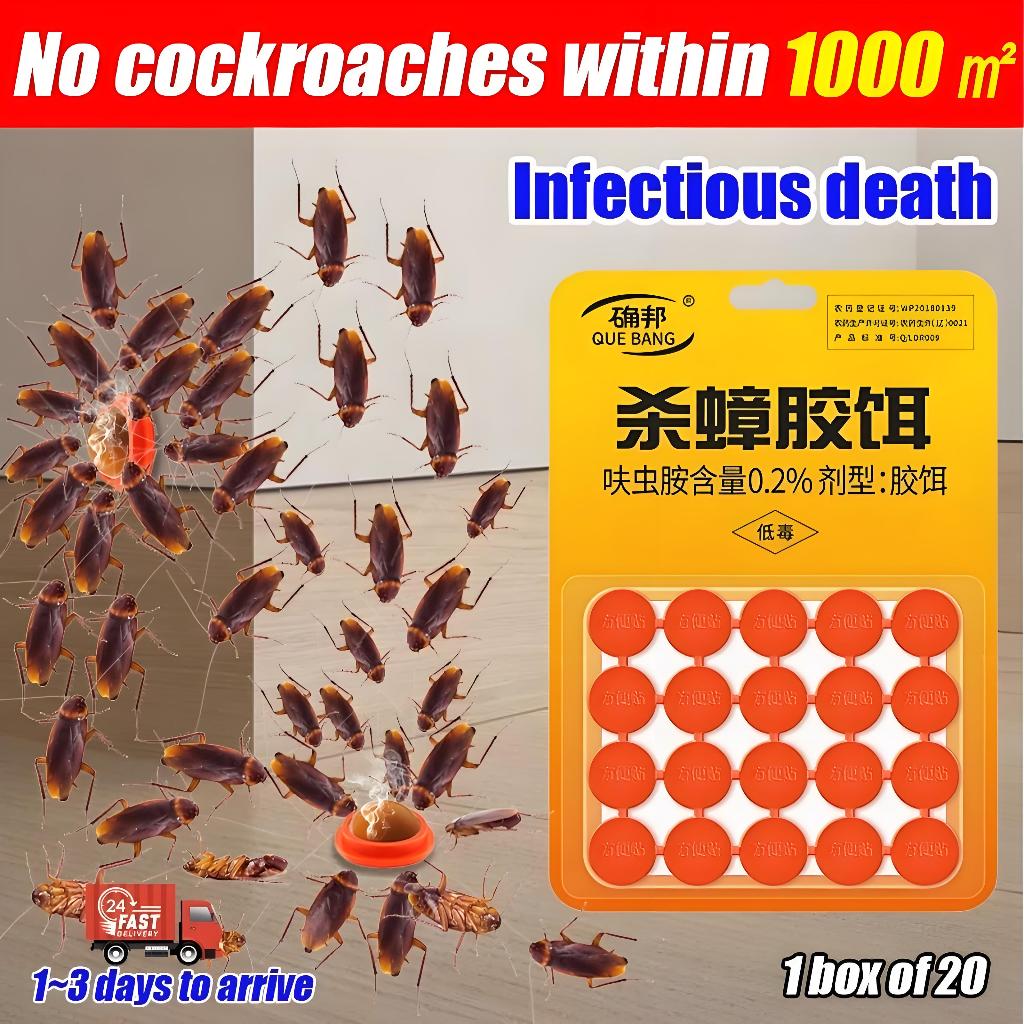 No cockroaches for 20 years Cockroach Killer Gel Bait perangkap lipas ...