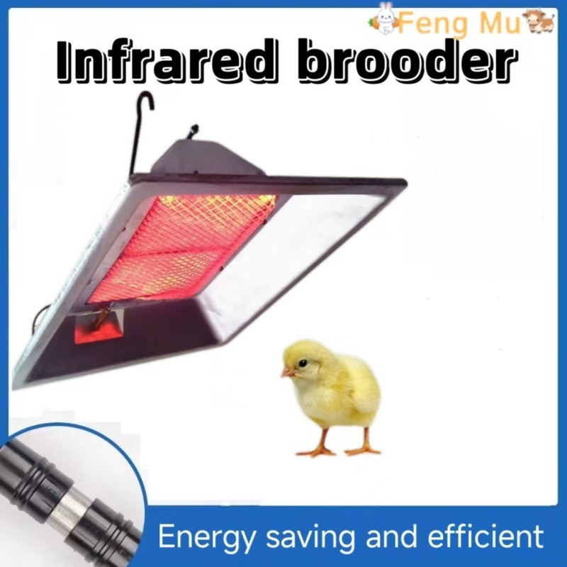 【Factory outlet】1 Pc Heater Brooder Chicken Coop Gas Brooder Infrared ...