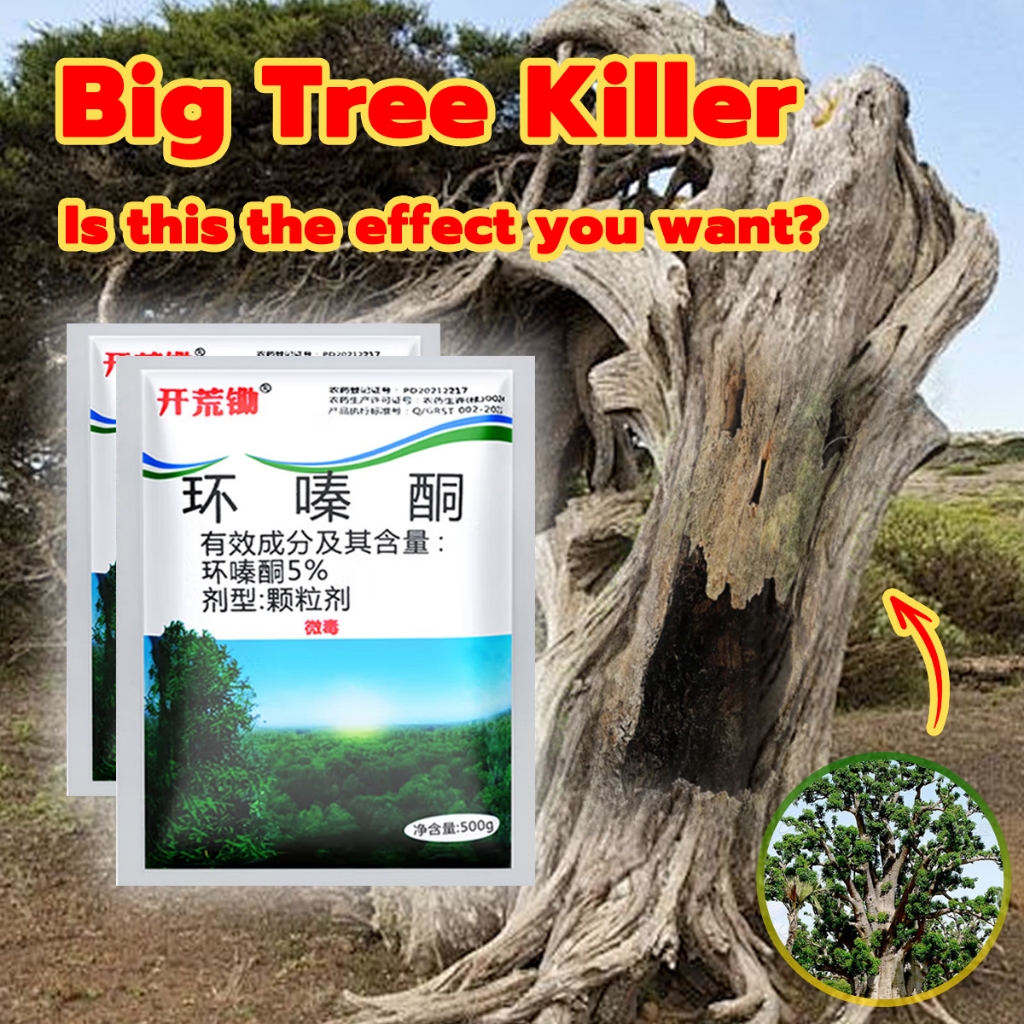 hexazinone tree killer 【Strong destructive power】Effective weed control ...