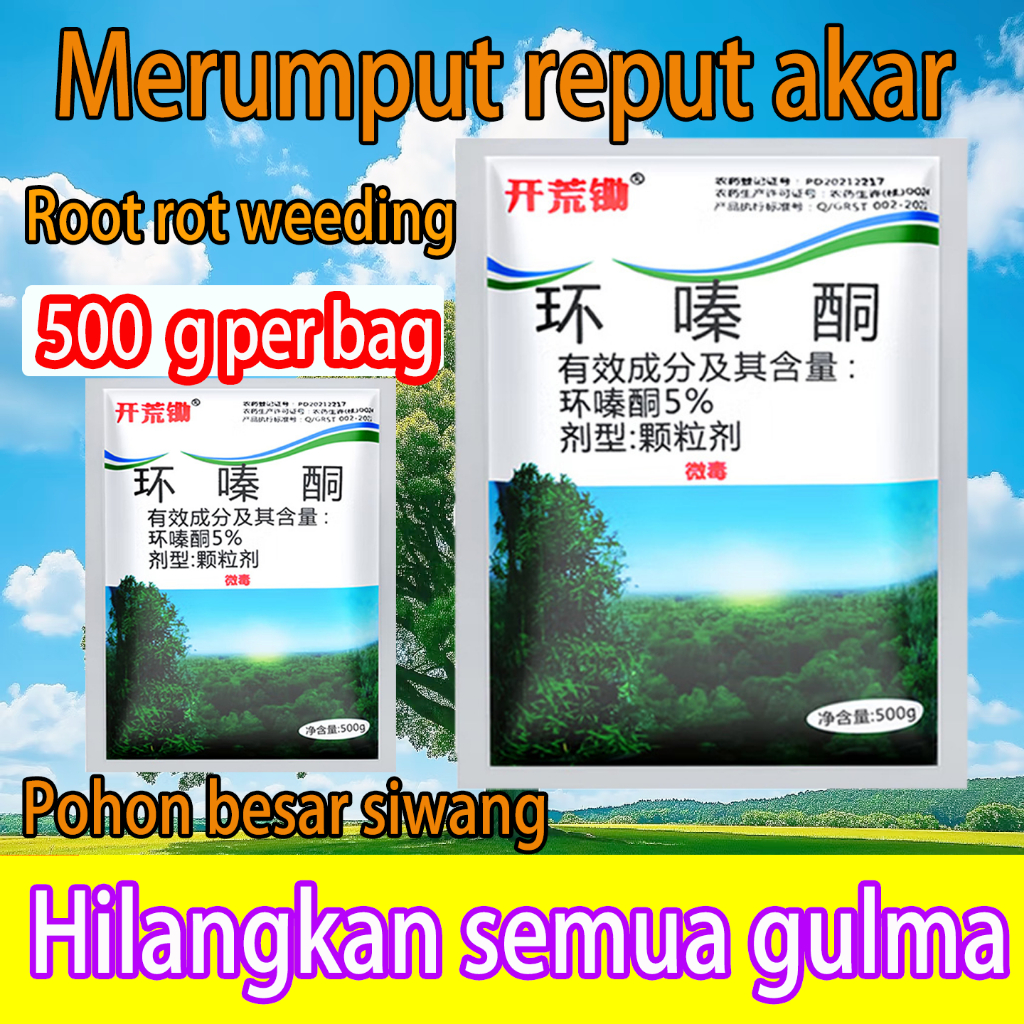 roundup racun rumput paling berkesan Big tree died on 2th Racun Rumput ...