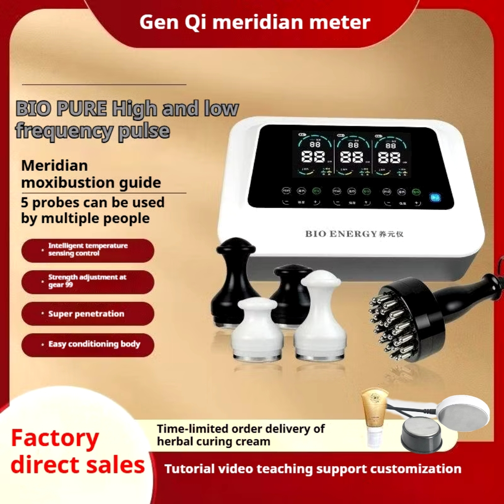 Genqi Vitality Meridian Instruments Beauty Salon New Style Evergreen ...