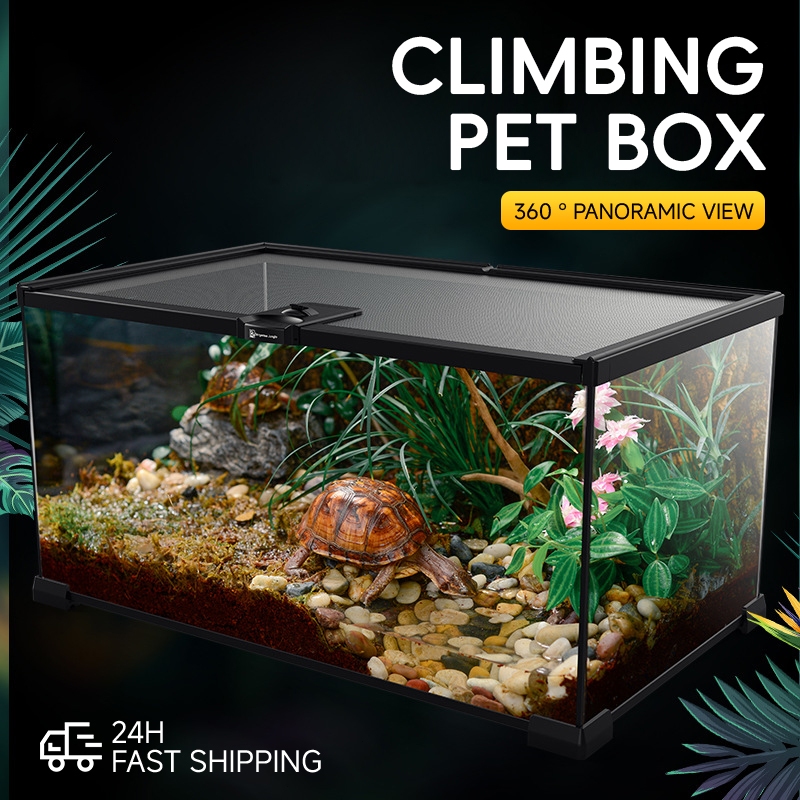 Reptile Glass Terrarium,Reptile Breeding Box,Amphibian Tank,Suitable ...