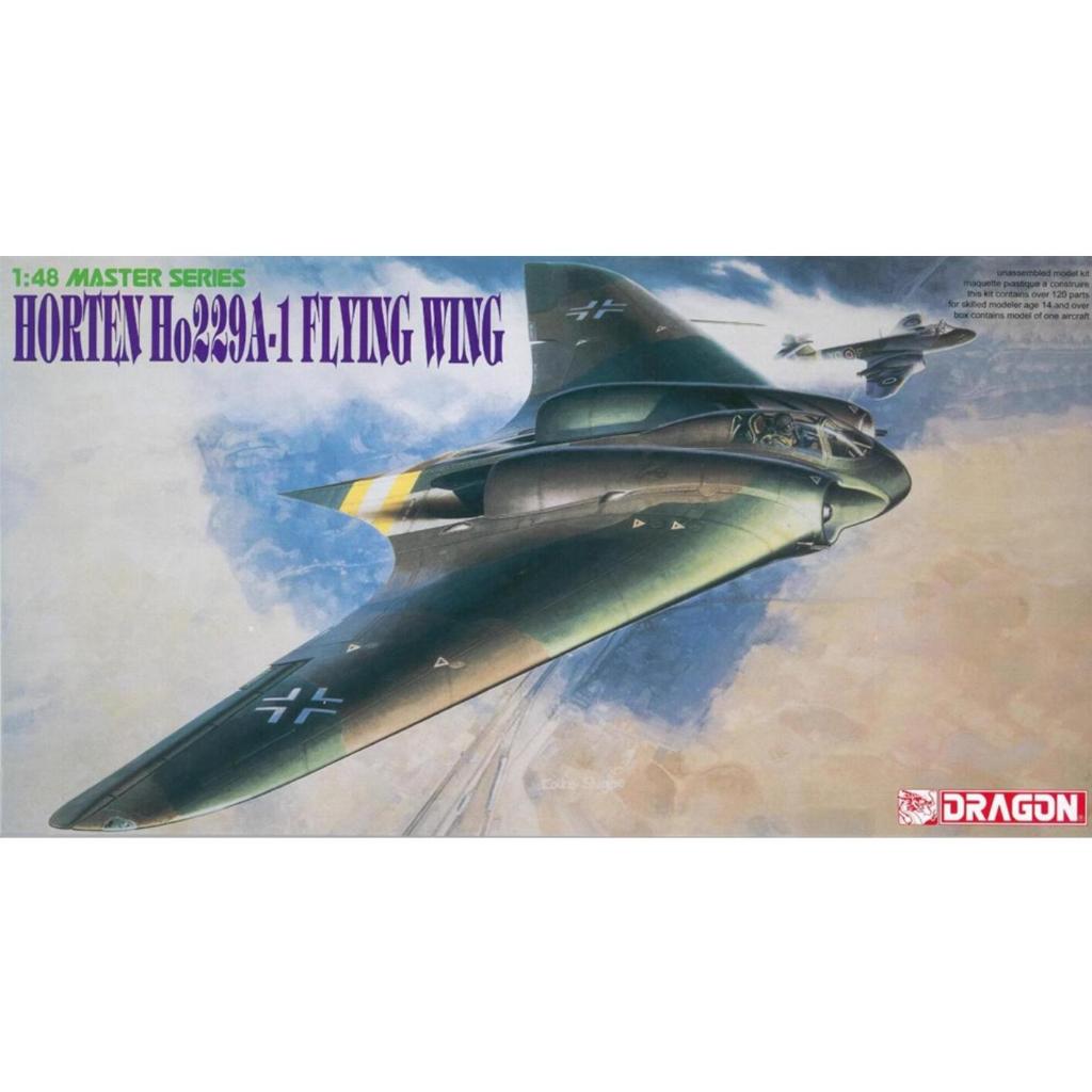 DRAGON 5505 1/48 German Air Force Horten Ho 229A-1 Flying Wing Model ...