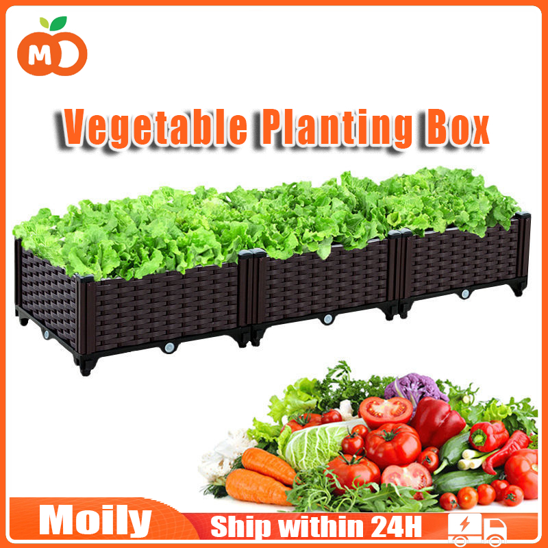 Planter Box Outdoor Large Flower Pot Pasu Sayur Sayuran Penanaman ...