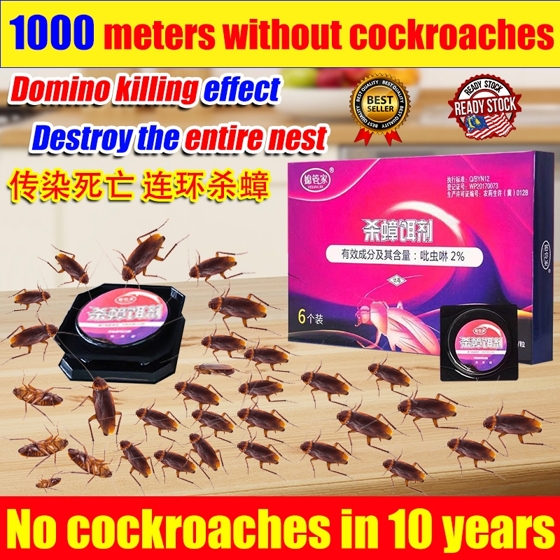 No cockroaches within 1000 meters Cockroaches trap cockroach killer ...