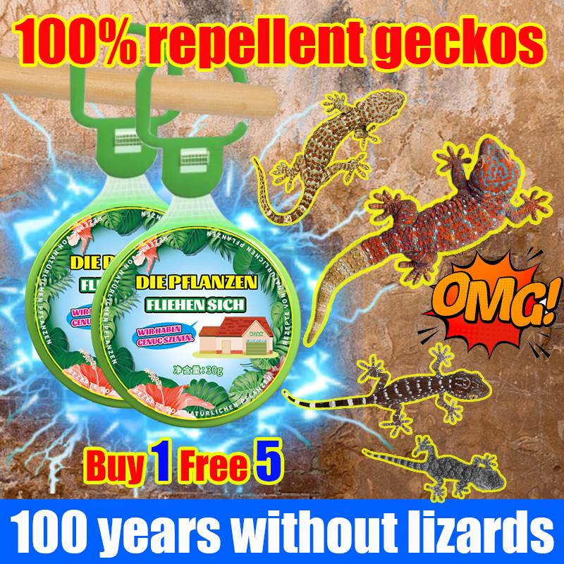 100% Lizard Removal Rate Lizard repellent Buy 1 Take 5 Gecko repellent ...