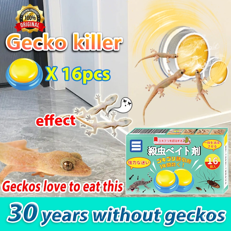 30 years without geckos SG lizard killer racun cicak lizard repellent ...