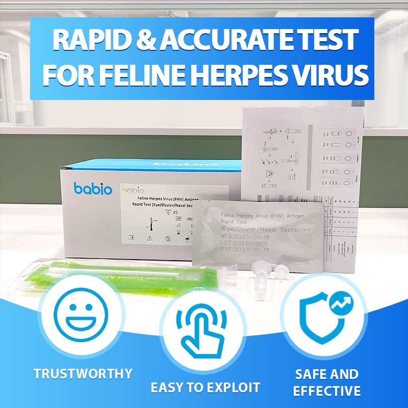 Kit Uji Cepat Antigen Virus Herpes Kucing (FHV Ag) - Feline Herpes ...