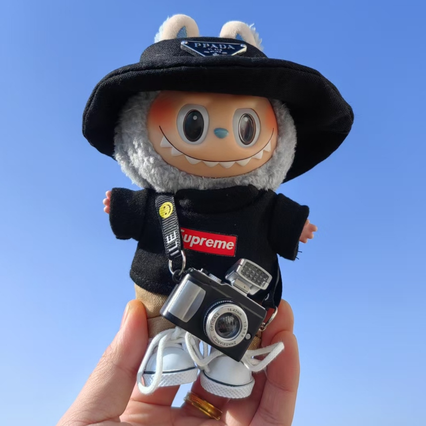Labubu doll 17cm Mystery Box Labubu Clothes Replace Labubu Vinyl ...