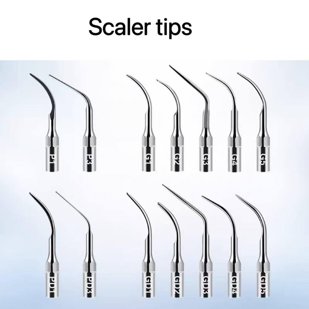 1Pcs Dental Scaler Tip Scaling Periodontics Endo Perio Scaling Tips ...