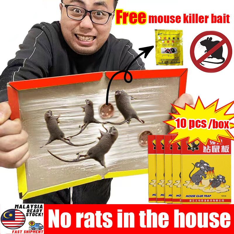 No rats in the house Super gam tikus Mouse Trap 10 pcs/box Free mouse ...