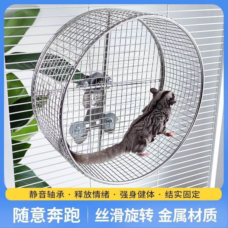 304 Stainless Steel Sugar Glider Running Wheel Squirrel Wheel Hamster ...