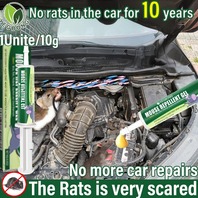 No rats for 10 years Rat repellent gel 10g Penghalau tikus Rat ...