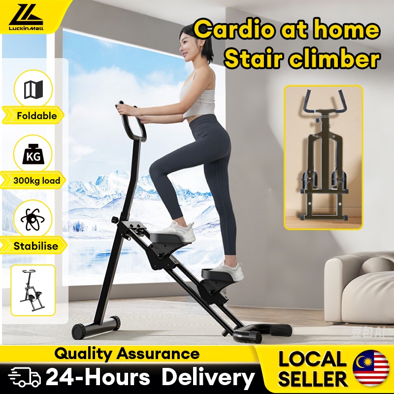 Stair Climber Multi-Functional Home Staircase Machine Stepper ...