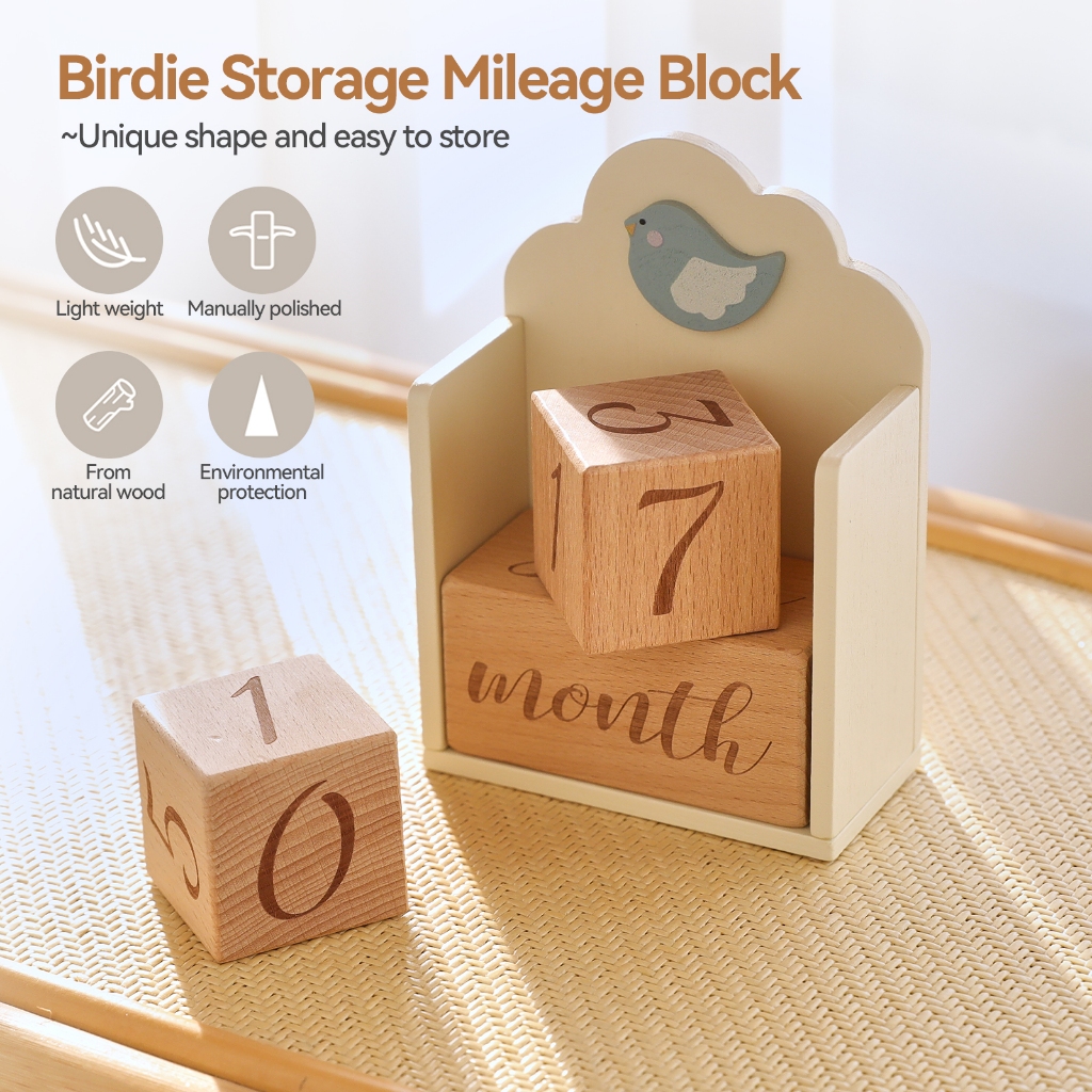 Baby Wooden Milestone Building Bocks Newborn Photography Props Bird ...