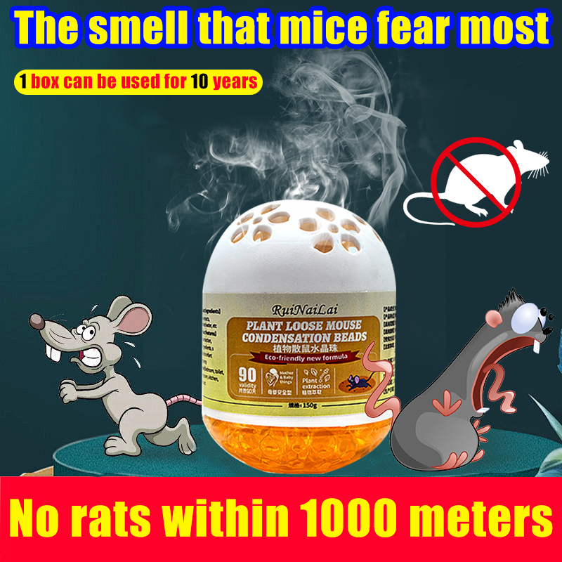 No rats within 8000 meters rat repellent for home 1 box can be used for ...