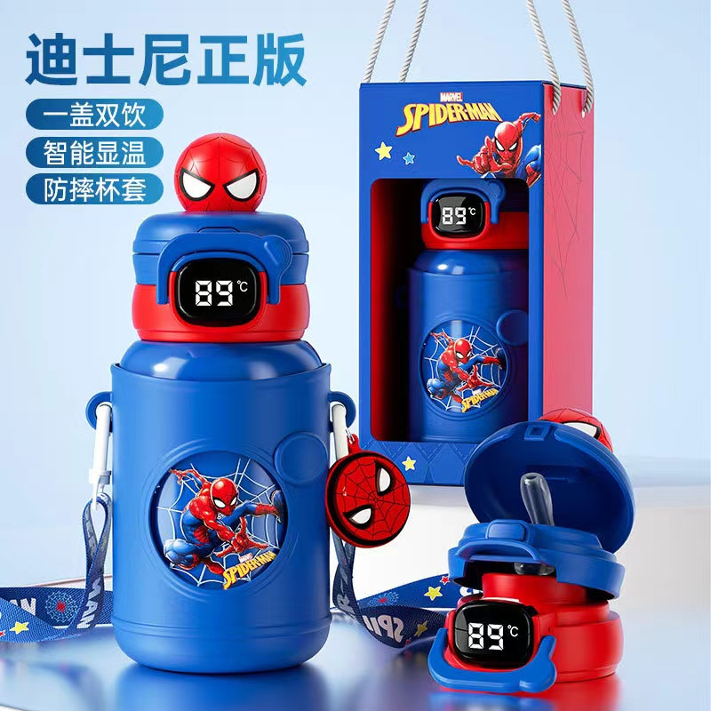 Marvel Disney Spiderman Elsa Kids Water Bottle insulated stainless ...
