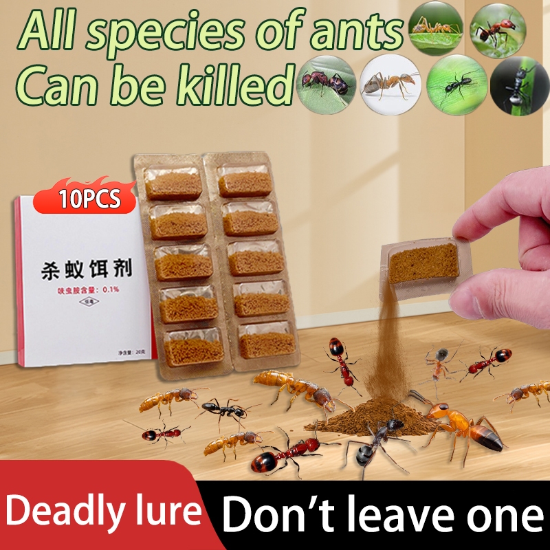 【Why are the ants missing from home??】LGD Ant poison Ant bait Racun ...