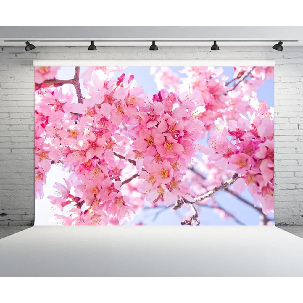Cherry Blossom Backdrop for Photography Spring Blooming Pink Flowers ...