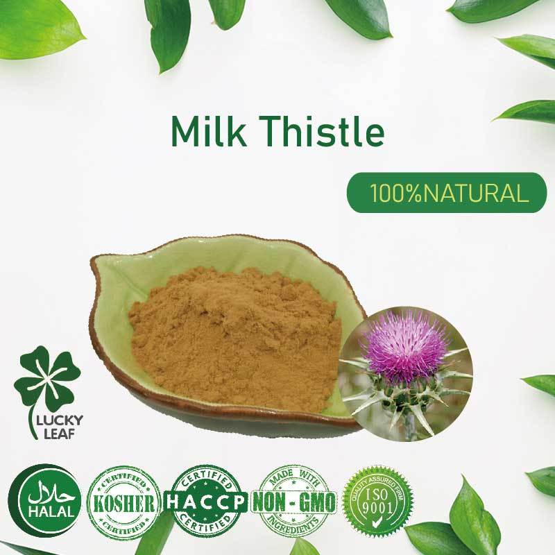 Milk Thistle Powder Extract/Silymarin/Lower transaminase/repair liver ...