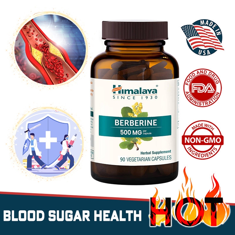 Berberine 500 mg - Supports Immune System, Overall Health, Circulation ...