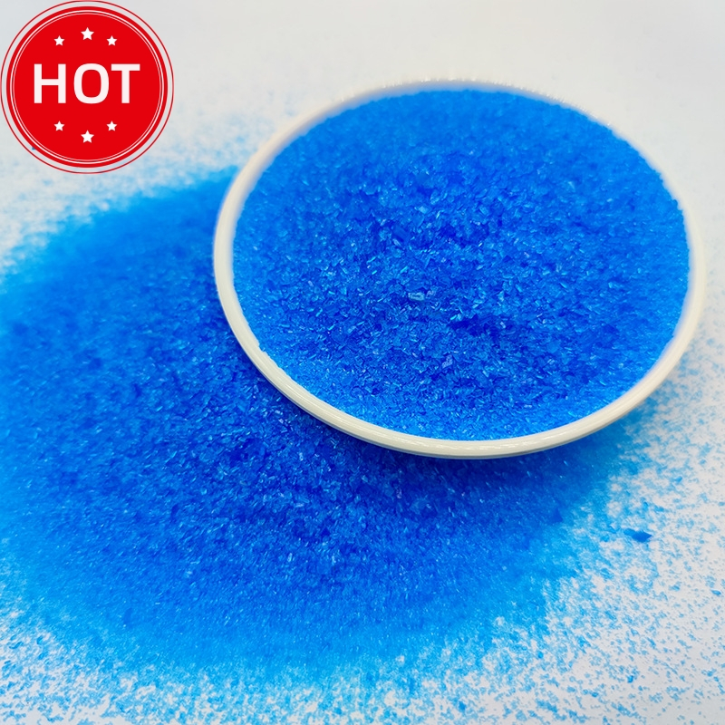 1kg Swimming Pool Algaecide/Fungicide(Copper based) | Shopee Malaysia