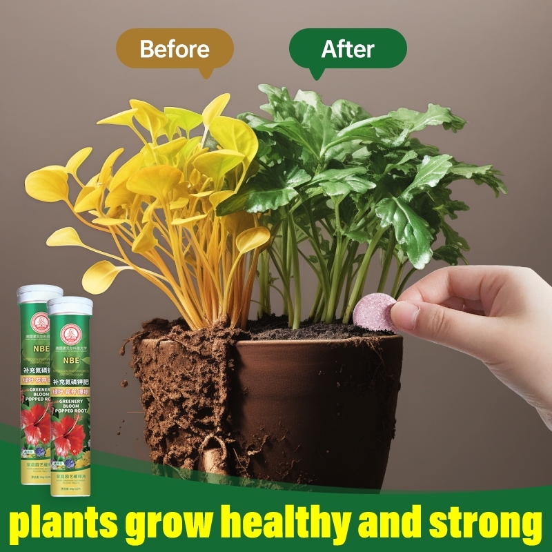 German baja buah Plants Fertilizer Stick 植物肥料棒 Potent 6 In 1 Garden ...