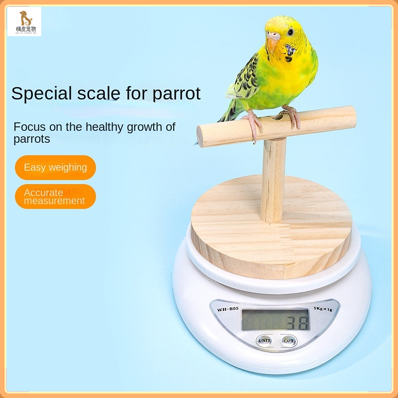 Parrot weight scale/electronic scale/parrot milk powder scale/bird food ...