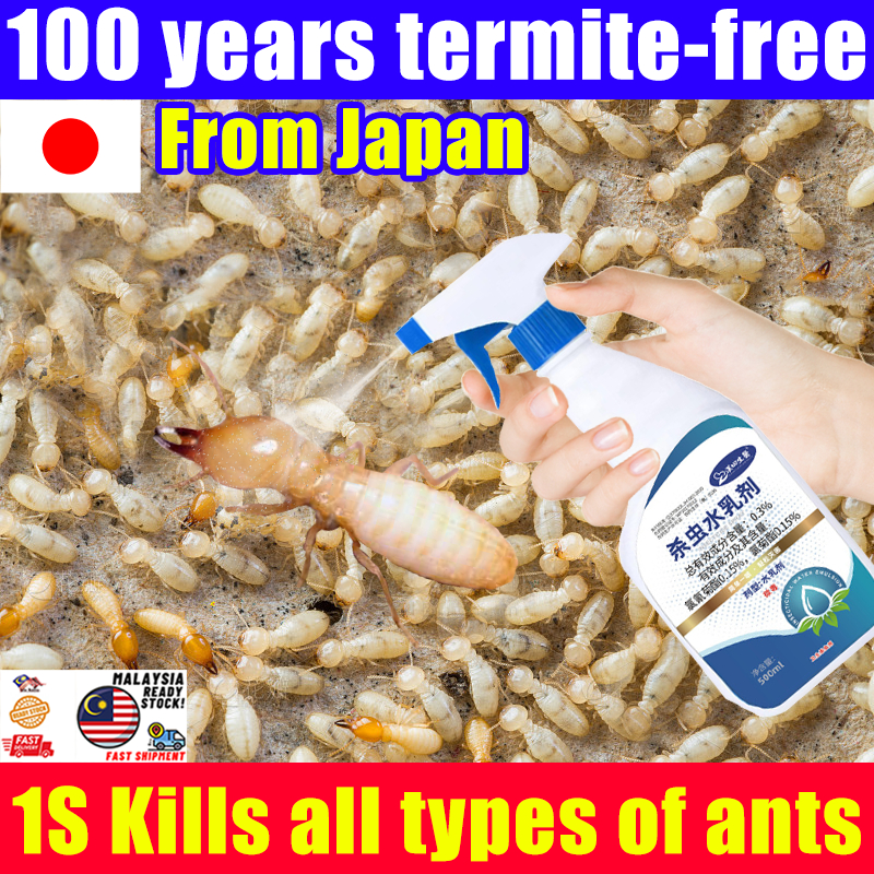 10 years termite-free racun anai anai Infestation kills entire termite ...